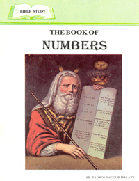 The Book of Numbers – Orthodox Bookstore